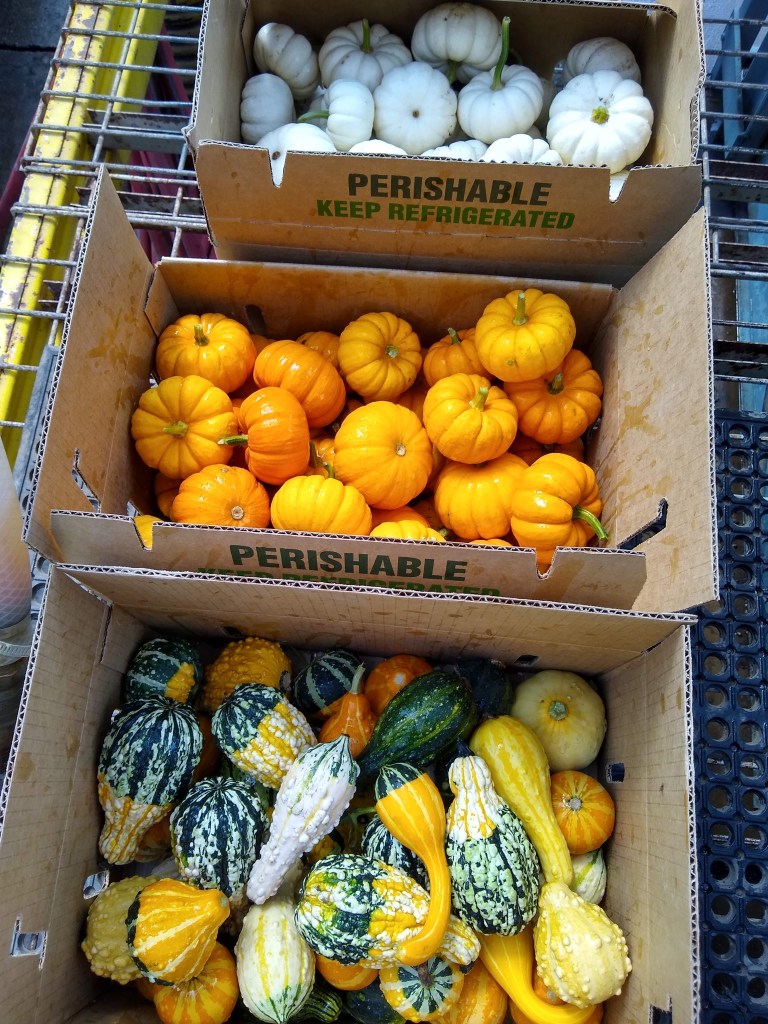 Products – Victory Farms