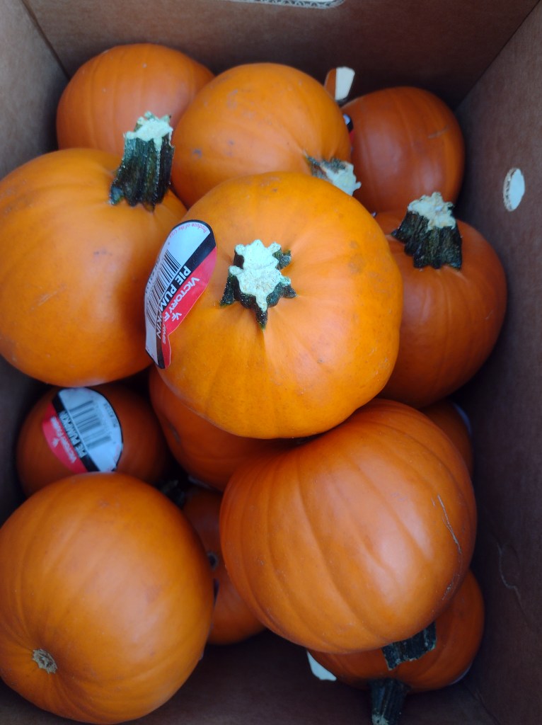 Products – Victory Farms